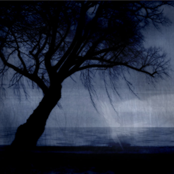 Dark Mist | Chayan Sen