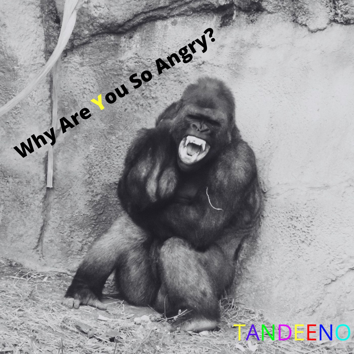 Why Are You So Angry? | TANDEENO