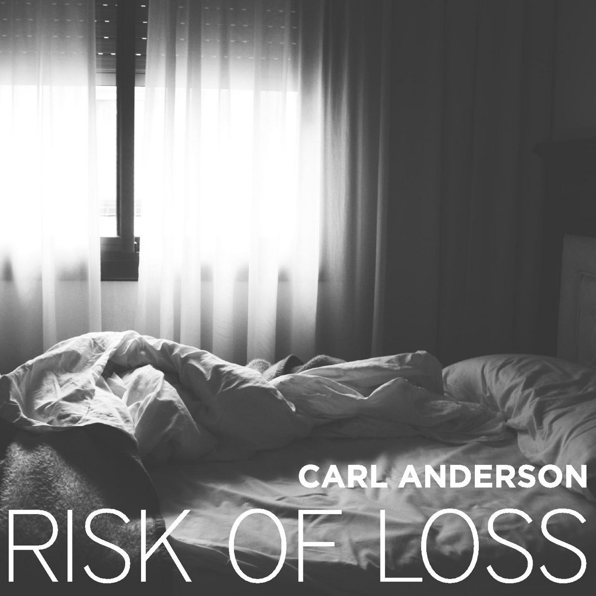RISK OF LOSS | CARL ANDERSON