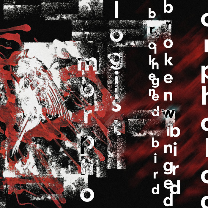 Broken-Winged Bird / Barren Field | Morphologist | College Hill