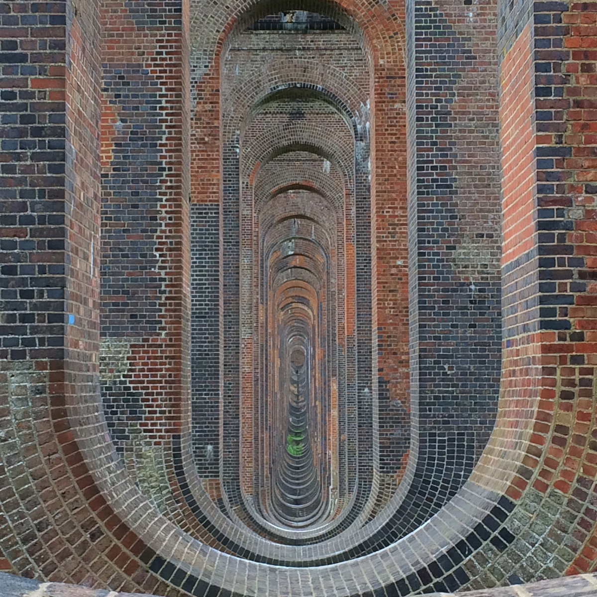 Contour | Contact Lens