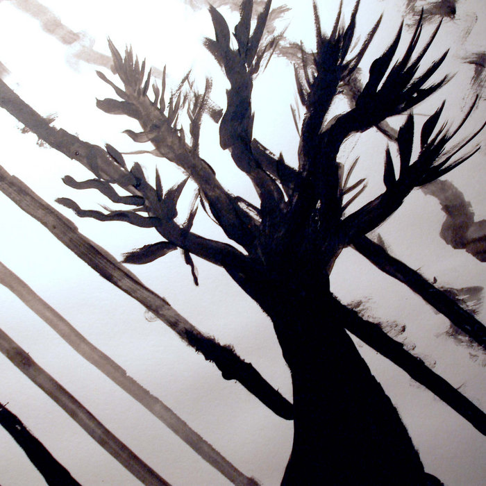 Veins | The Alexander Kibble Abstraction | Matt Hawkins