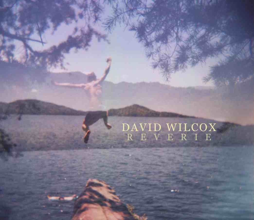 David Wilcox