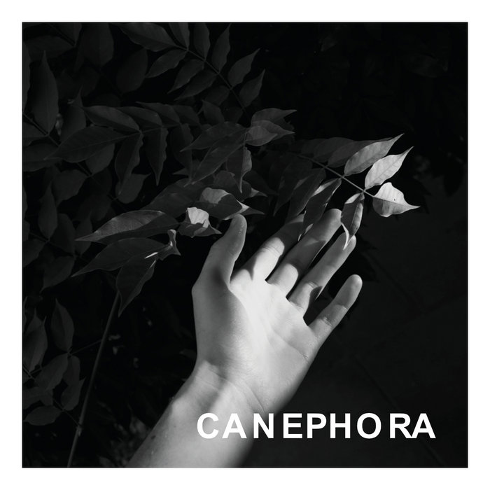 Canephora | Canephora