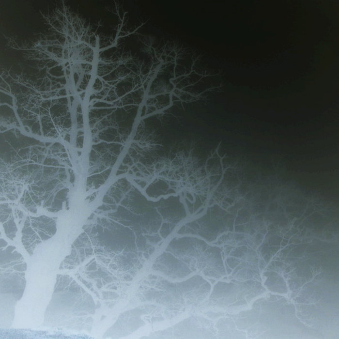 Static Tree | Flight of Crippled Wings