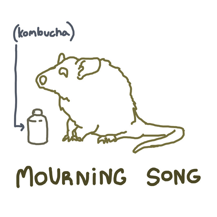 Mourning Song | Skyler Foley