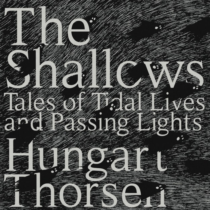 The Shallows | Hungart Thorsen | Anton TRUC