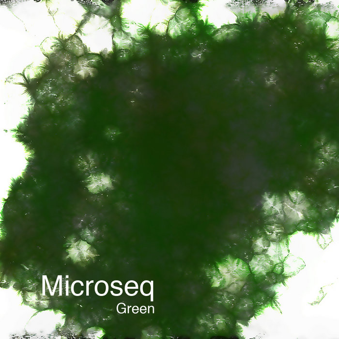 Green | Microseq | bigo & twigetti