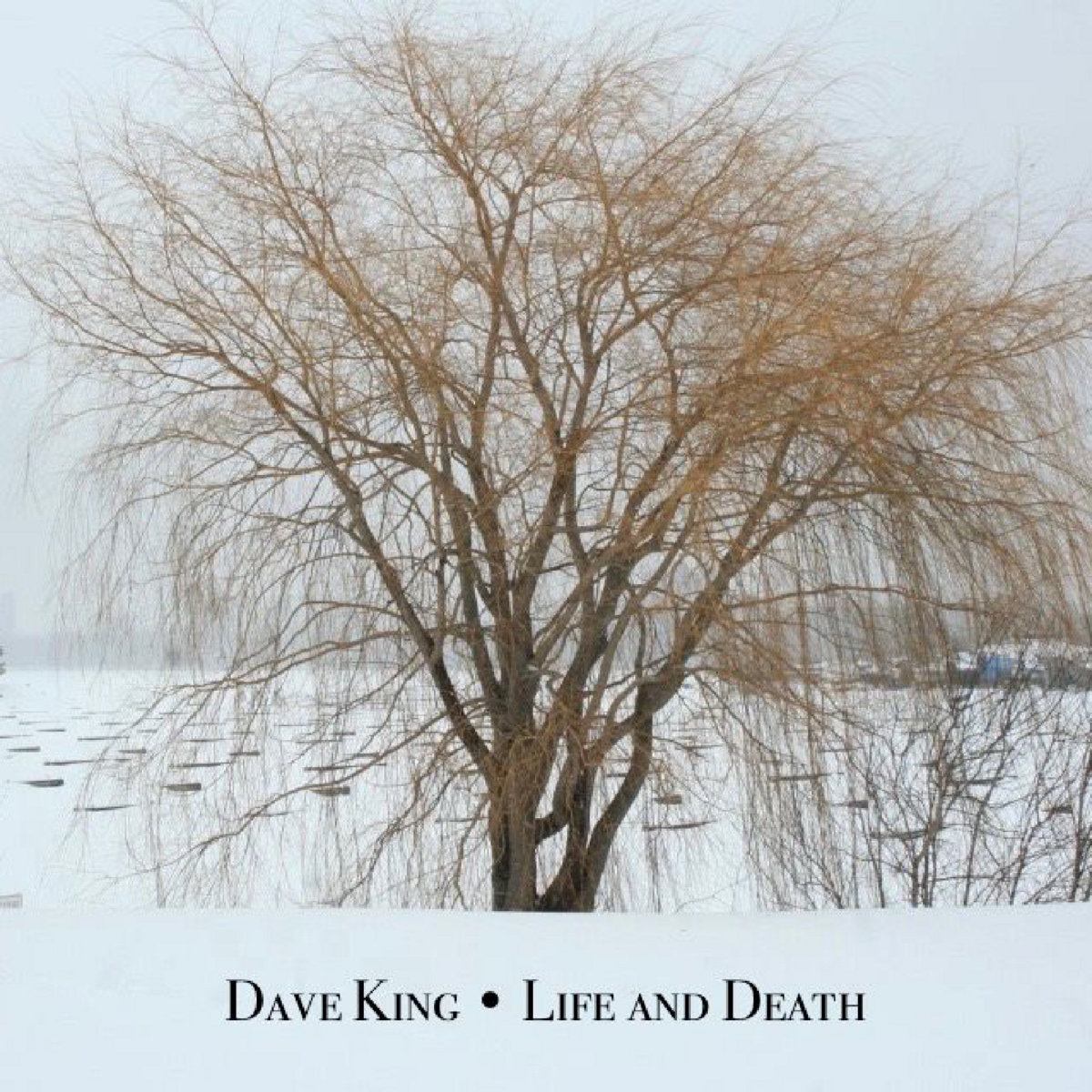 Life and Death | Dave King