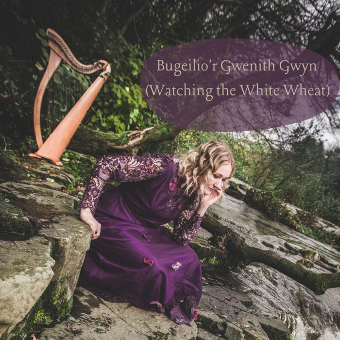 Bugeilio'r Gwenith Gwyn (Watching the White Wheat) | Bethan Nia