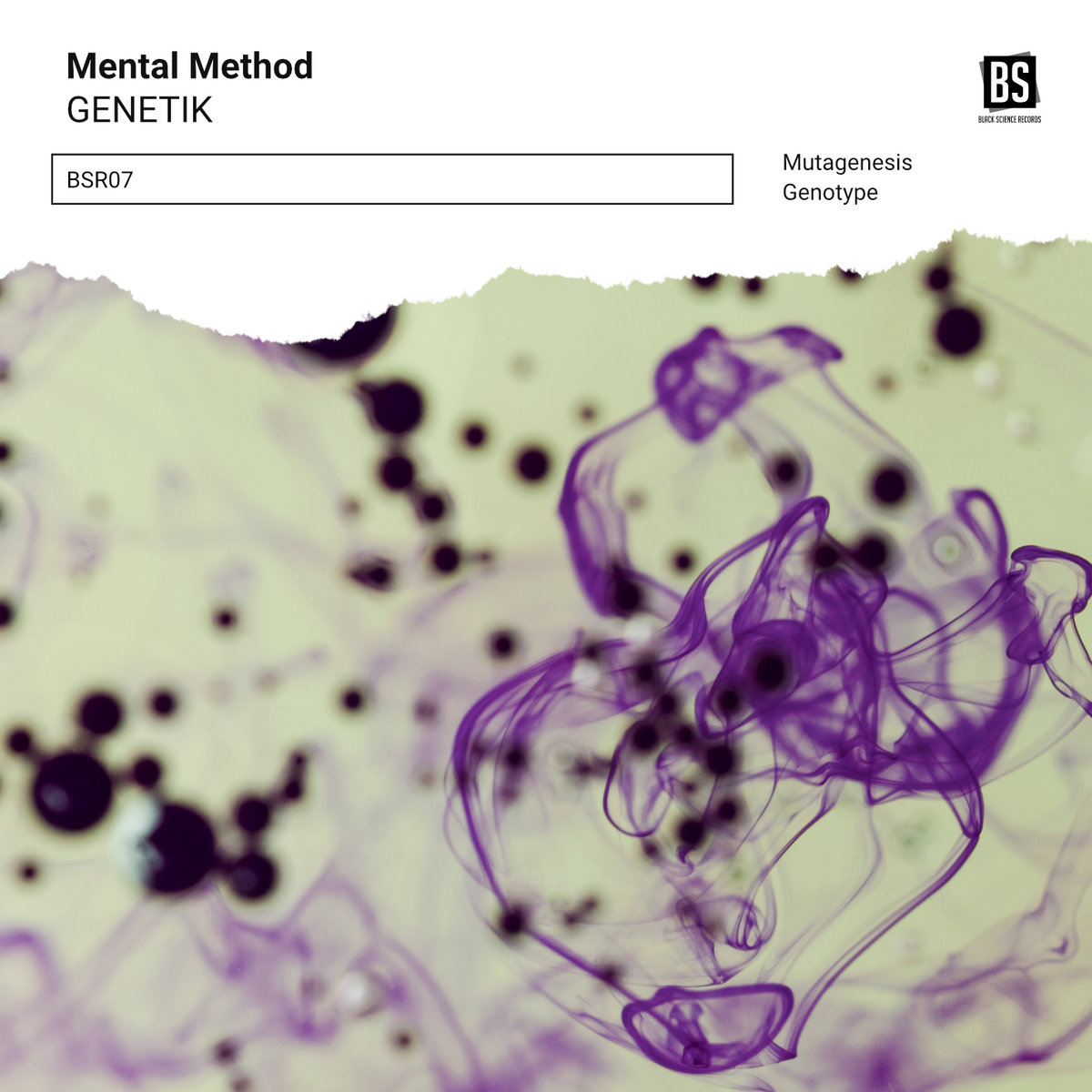 Genetik | Mental Method