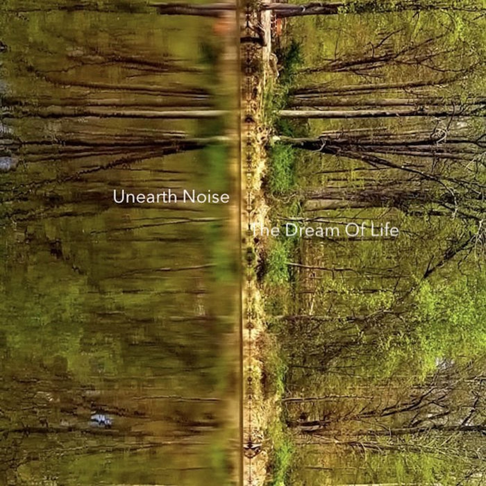 The Dream of Life | Unearth Noise