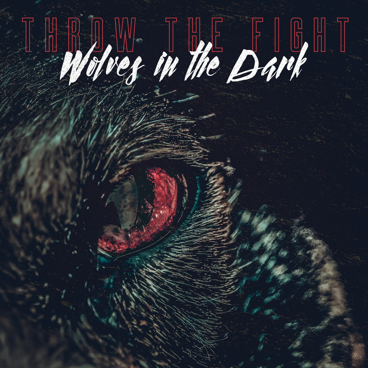 Wolves in the Dark | Throw The Fight