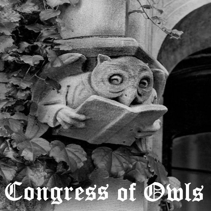 Congress of Owls | Sapyr | Muteant Sounds (net label)
