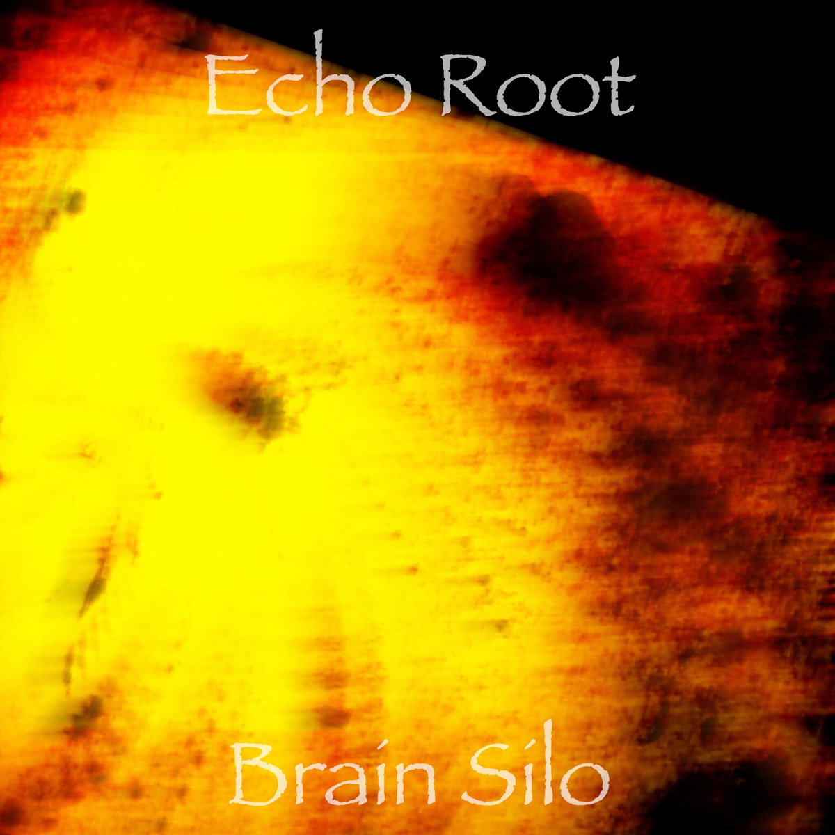 Brain Silo | Echo Root