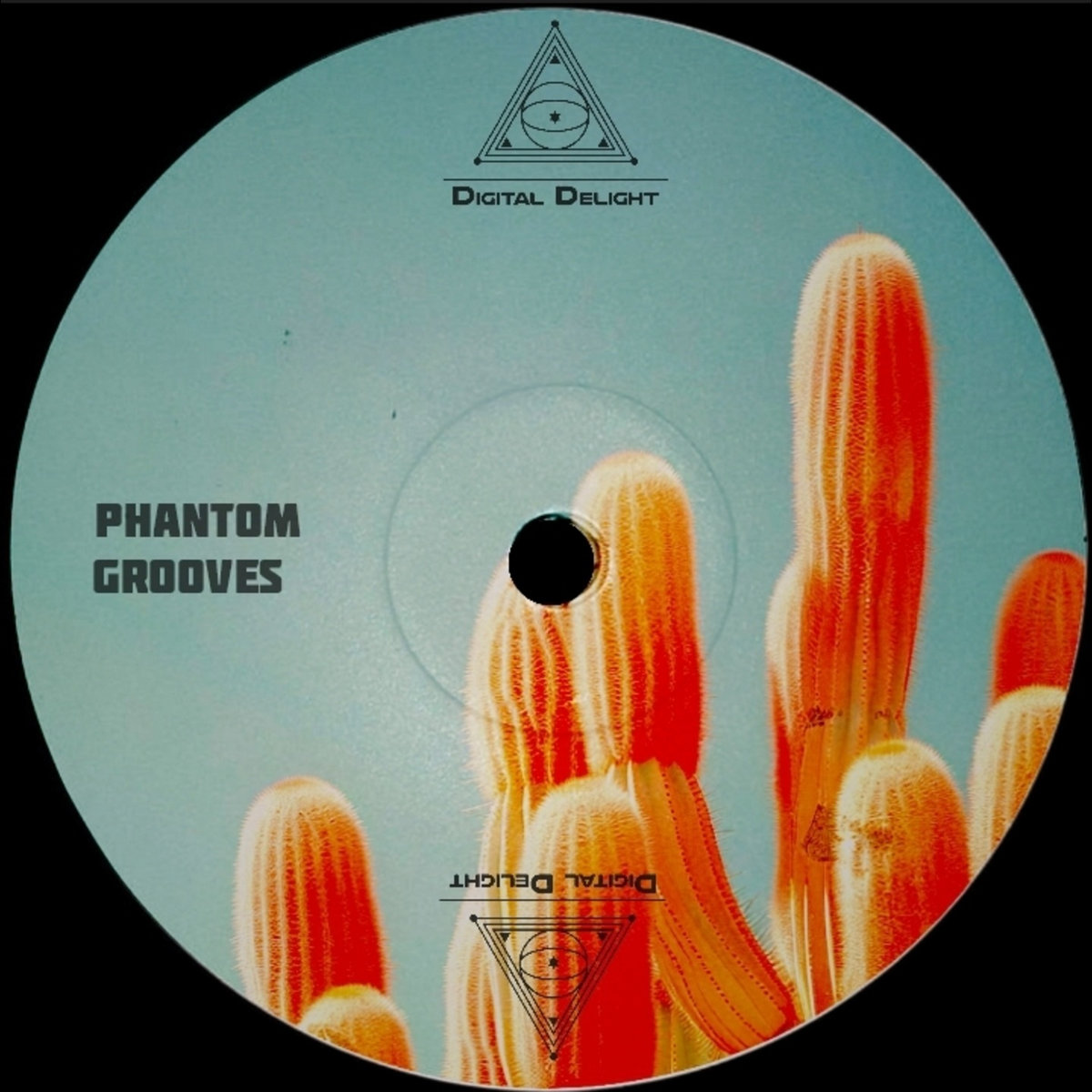 Phantom Grooves | various artists | Digital/Physical Delight Records ...