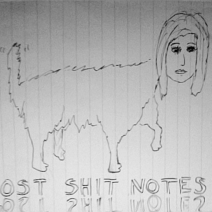 DEMO | POST SHIT NOTES