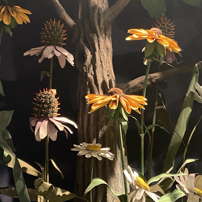 Spring (cling) | Emma Cooper