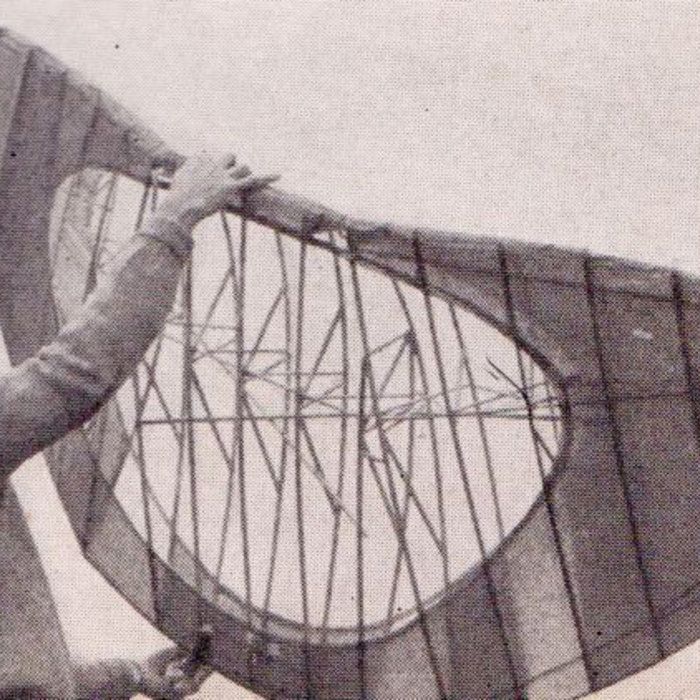 hands | pigeon elliot