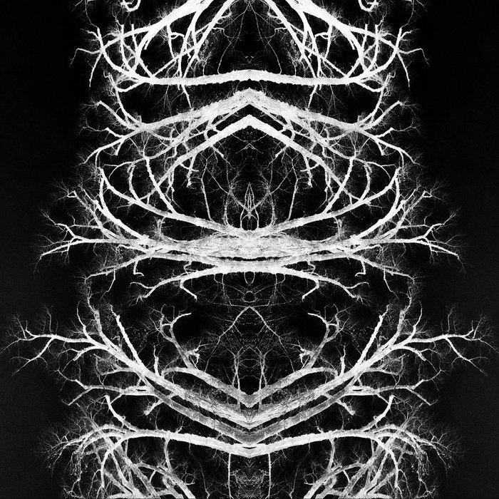 For Horror Eats the Light & Digests It Into Darkness (Live) | Serpents ...