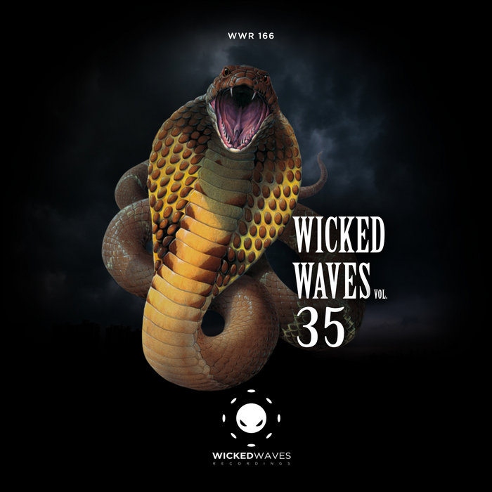 Wicked Waves Vol. 35 [Wicked Waves Recordings] | Various Artists ...