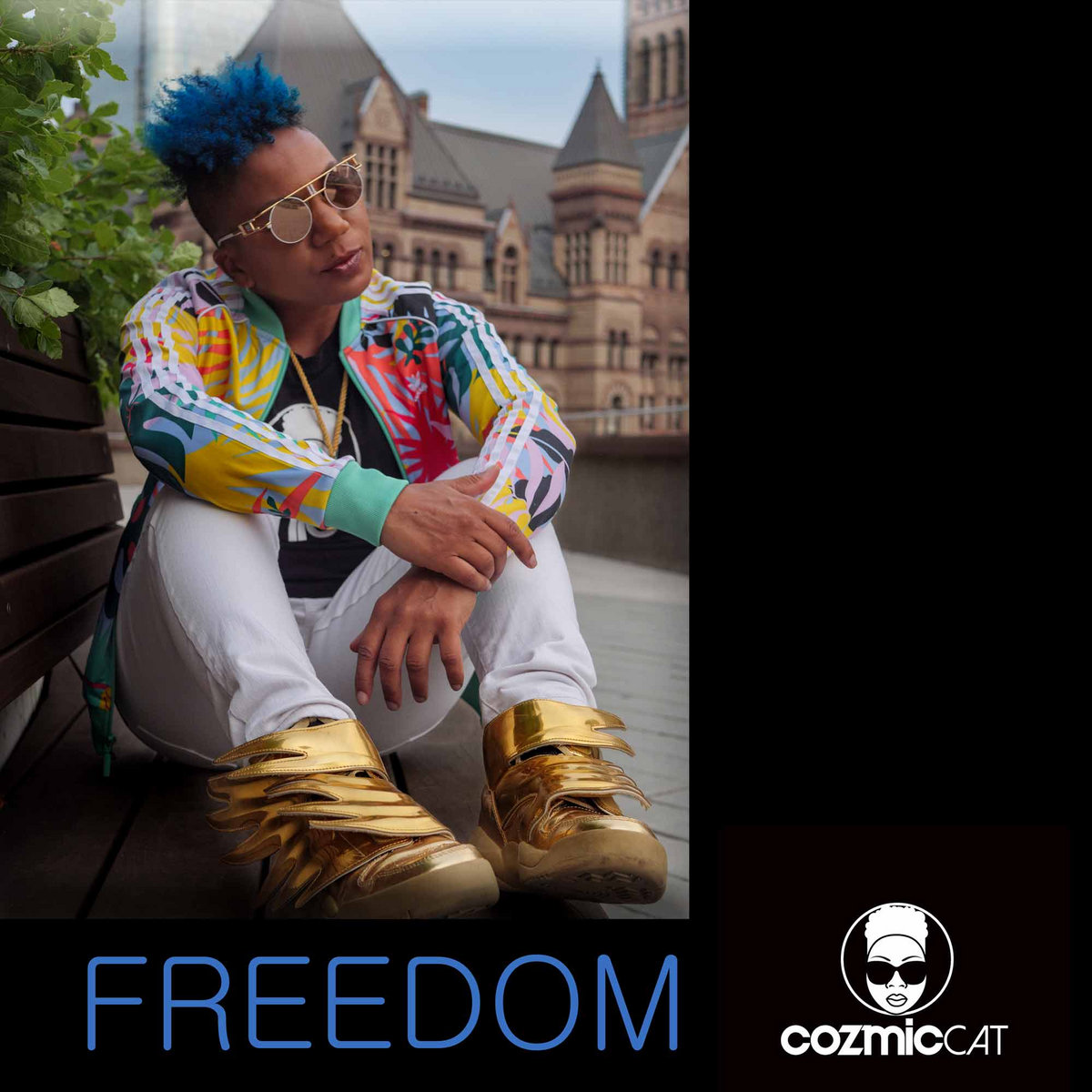 Freedom (Full Album) | Cozmic Cat