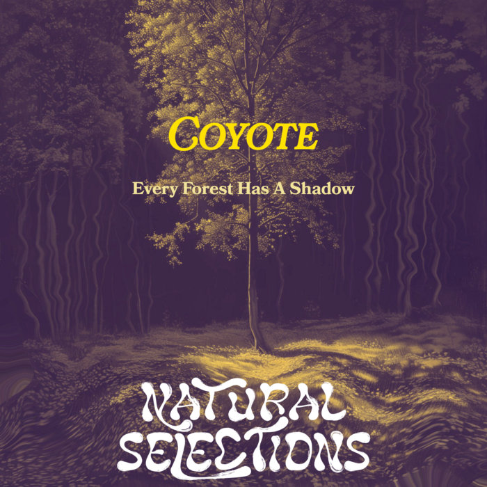 Every Forest Has A Shadow | Coyote | Natural Selections