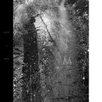 Shouts of Nothingness | Graham McArthur