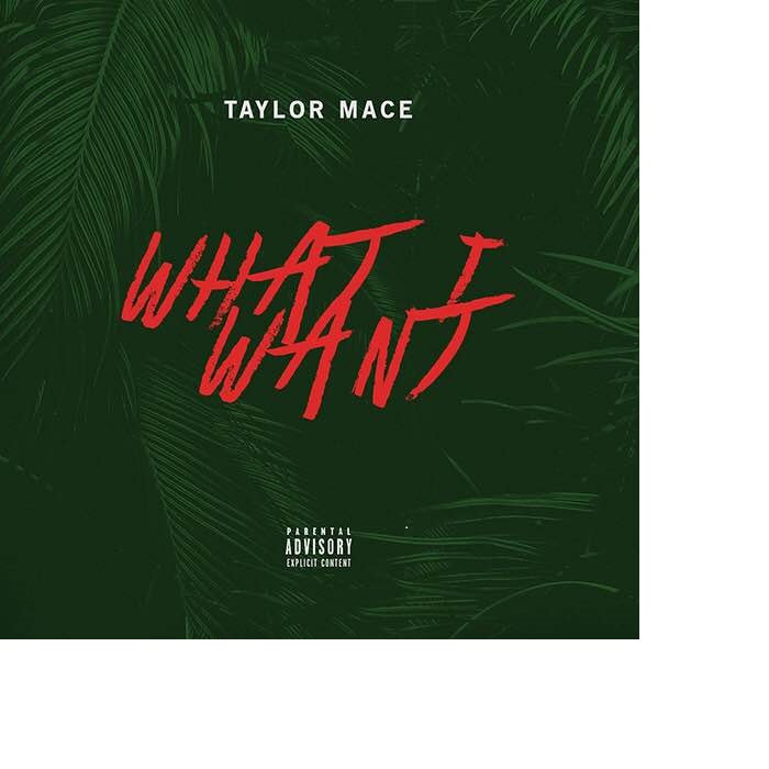 What I Want | Taylor Mace