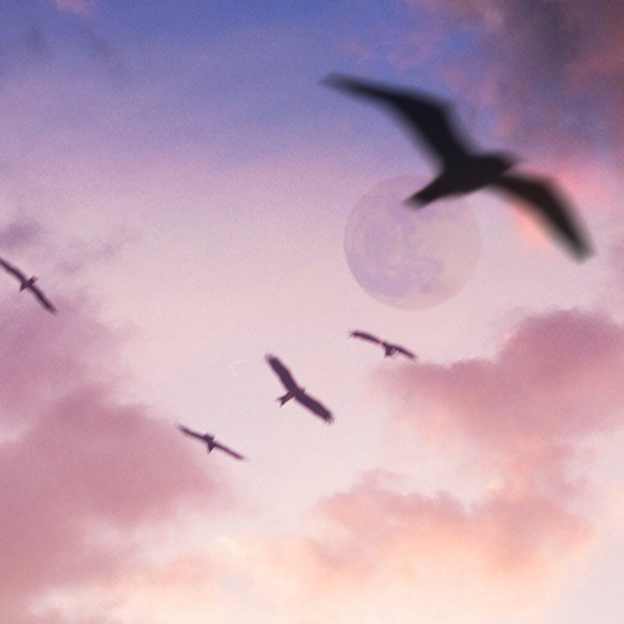 Flying Free | Soul Renegades | Beyond Tomorrow