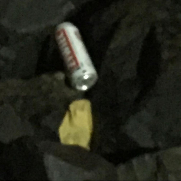 technically alive and functioning | Rotten Pulp