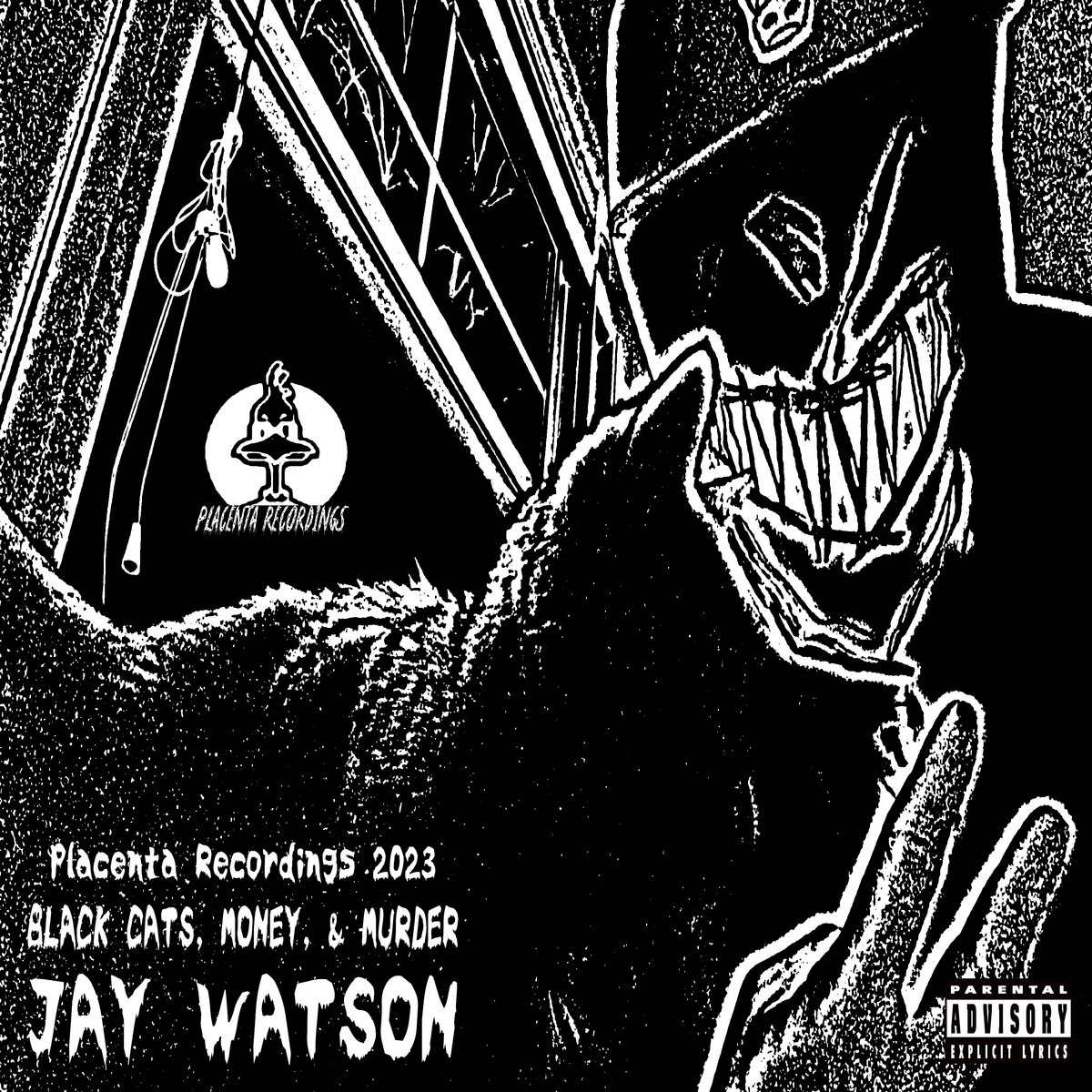 Jay Watson - Black Cats, Money, & Murder (Placenta Recordings #689 ...