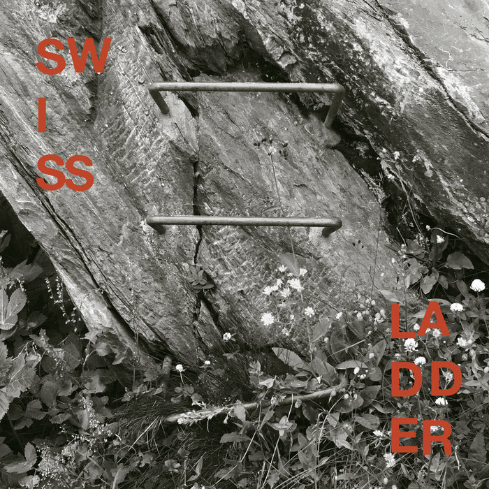 Swiss Ladder | Swiss Ladder