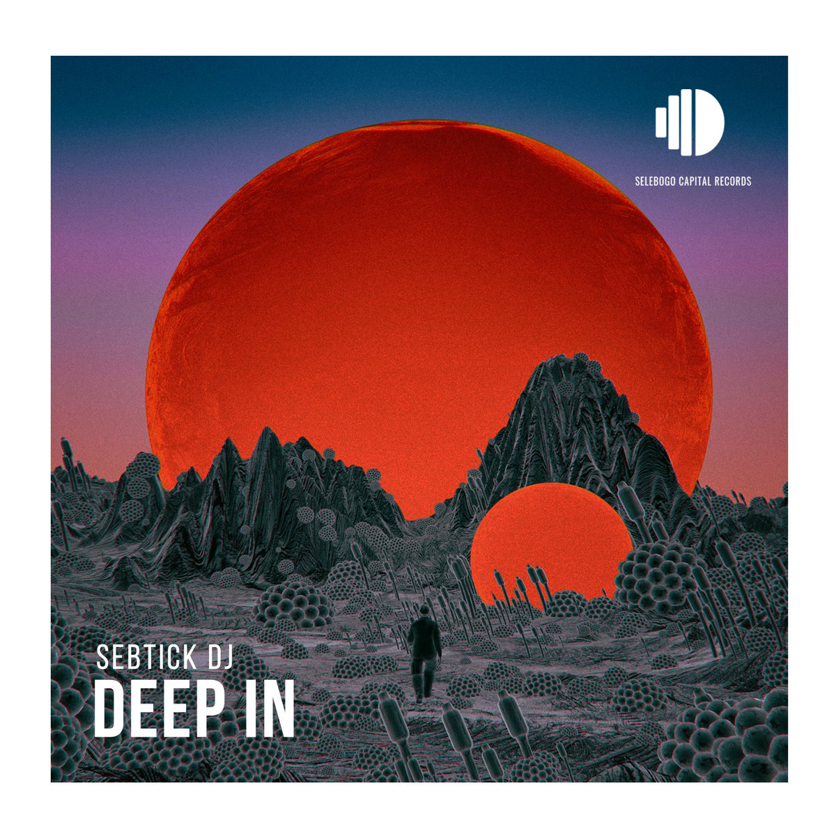 Deep In | Sebtick Dj | Selebogo Capital Records