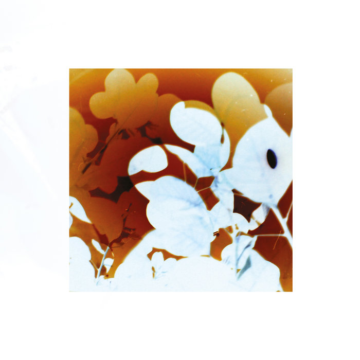 Soundflowers | James Murray | Slowcraft