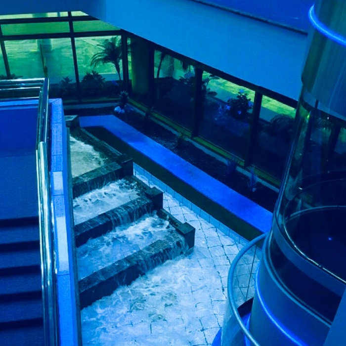 Forgotten Pool | Oliver Coleman