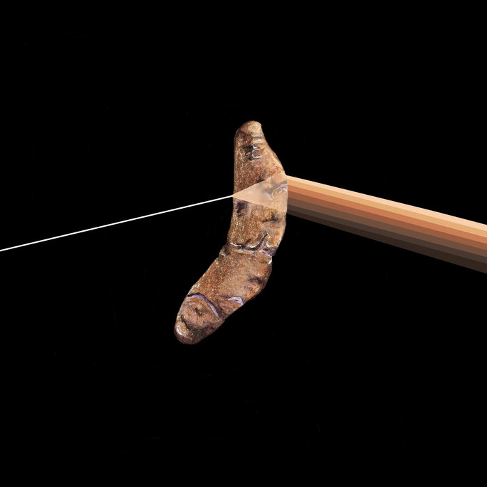 The Dark Side Of The Turd | The Bassturd