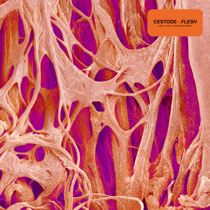 Flesh | CESTODE | HEAVENLY VAULT