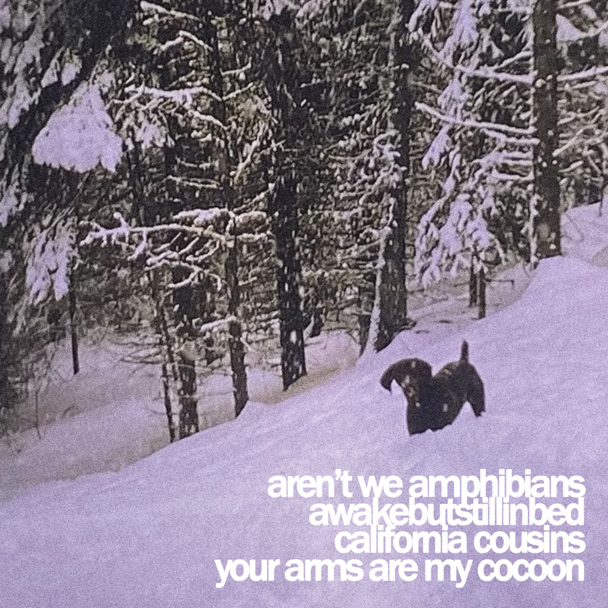 fourwaysplit | your arms are my cocoon