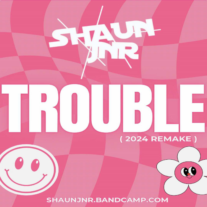 Shaun Jnr - Trouble ( 2024 Remake ) | SHAUN JNR