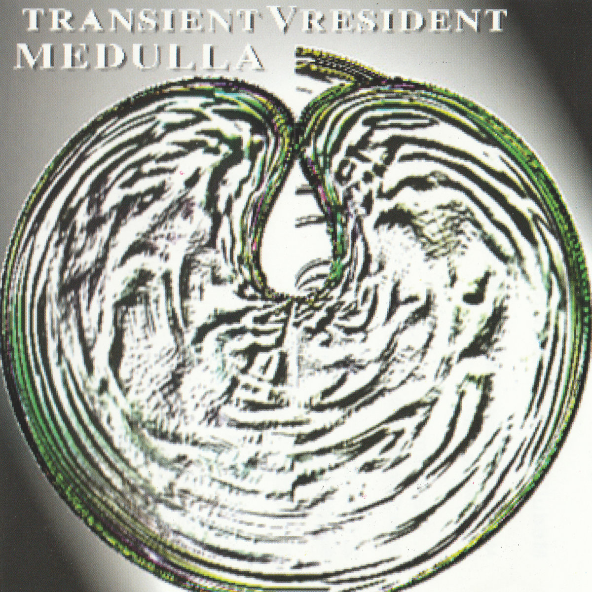 Medulla - 13CD (2001) | Transient v Resident | Discus Music