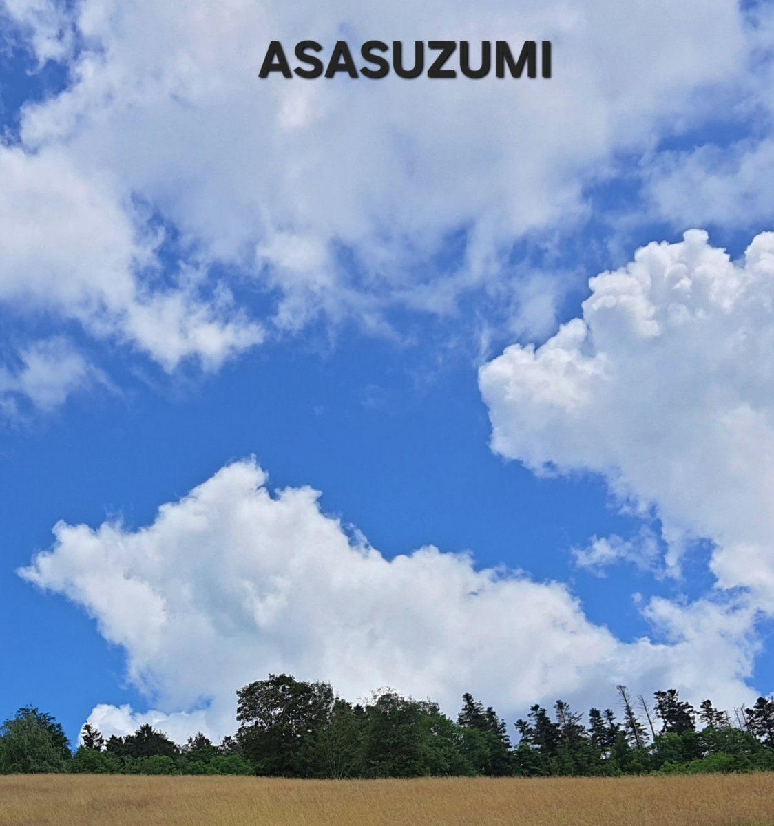 Asasuzumi | Taiko Saito Solo | Taiko Saito