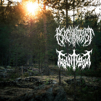 Music | Imploding Sounds