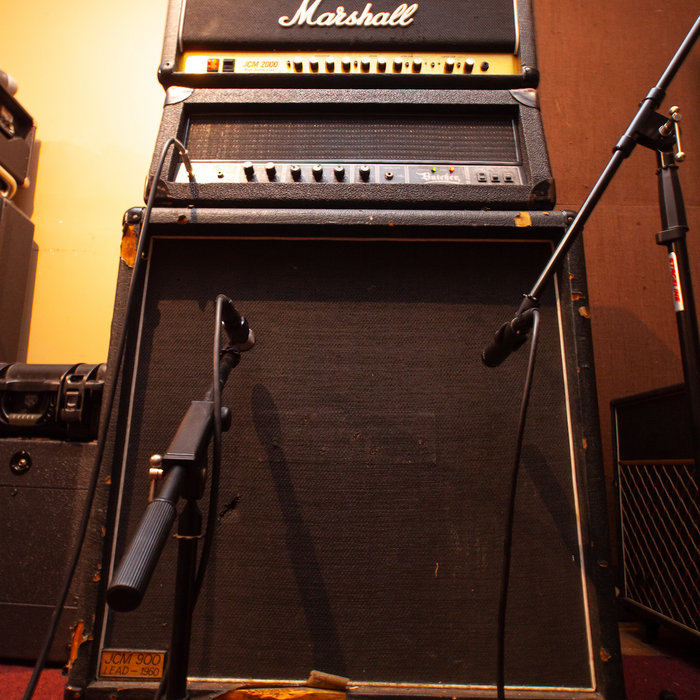 Mayan Bull | Mayan Bull