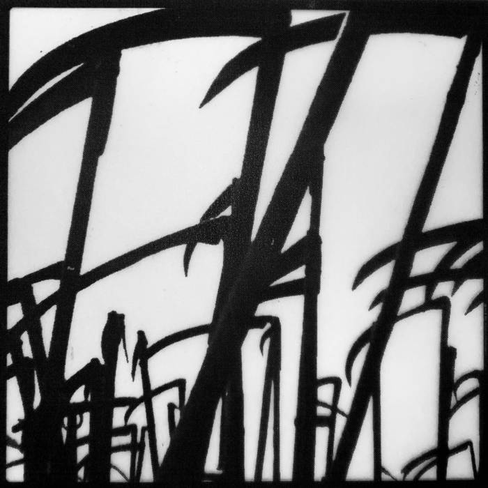 milo_bloom's collection | Bandcamp