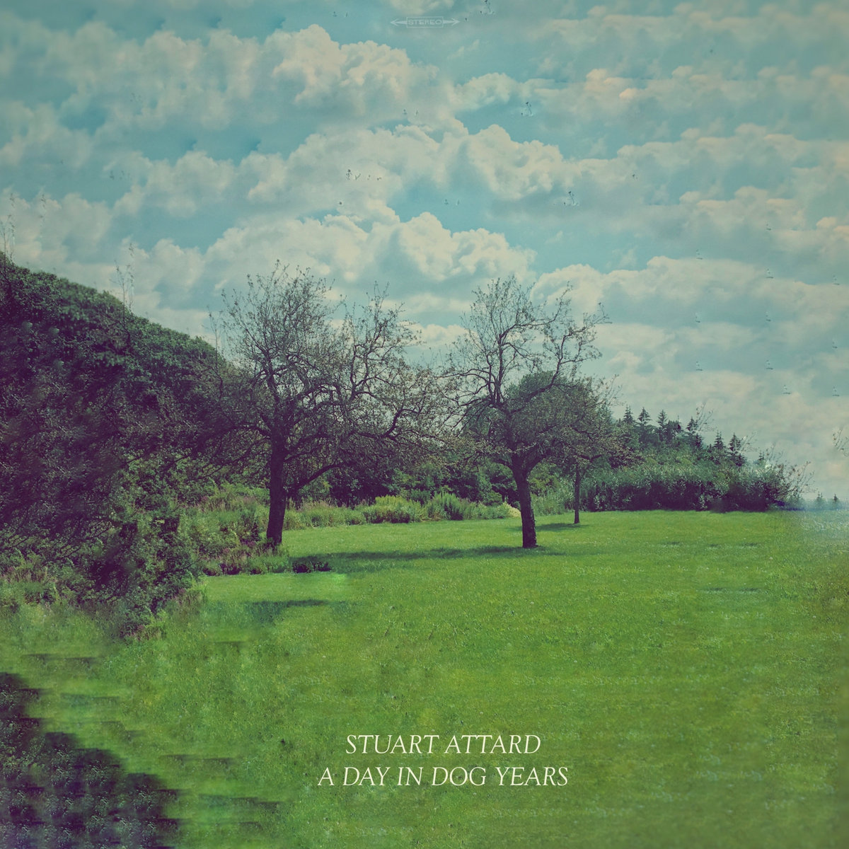 A Day In Dog Years | Stuart Attard