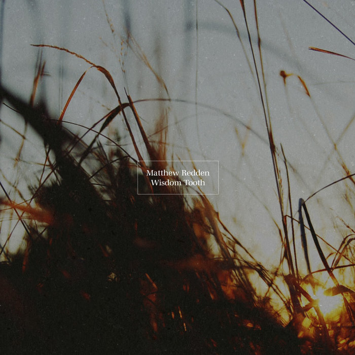 Wisdom Tooth | Matthew Redden | Datenbits Records
