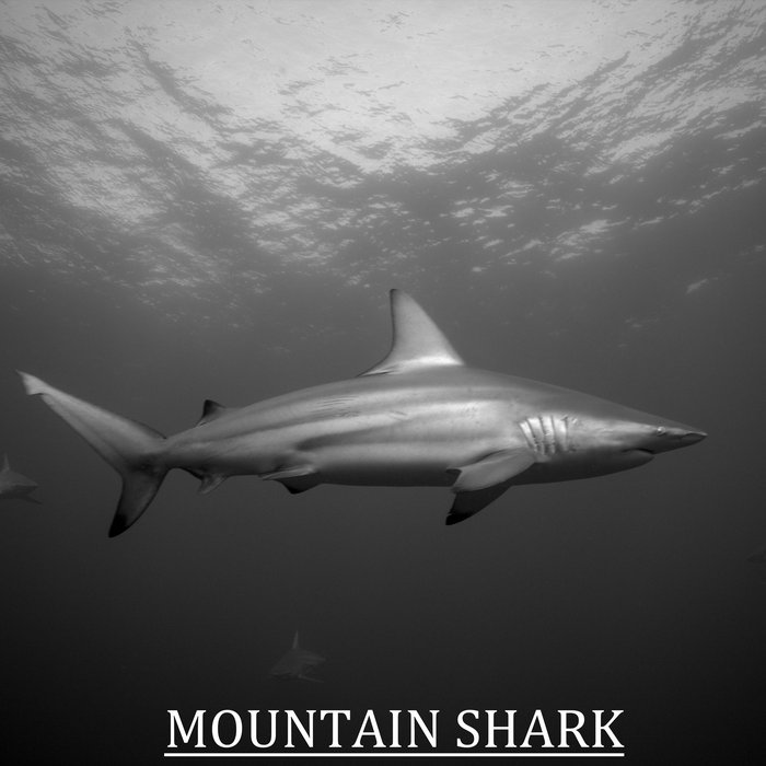 MOUNTAIN SHARK | MOUNTAIN SHARK