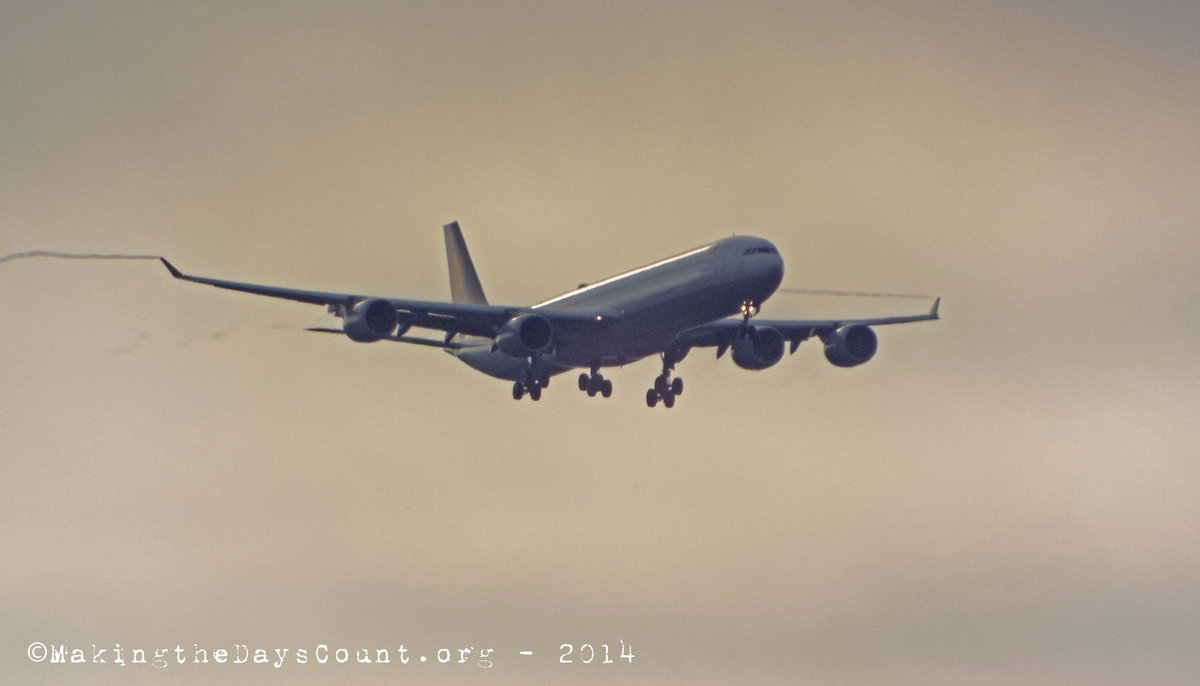 Serial Number For Crysis 2 Activation | Emakno | blazafcifinnacc