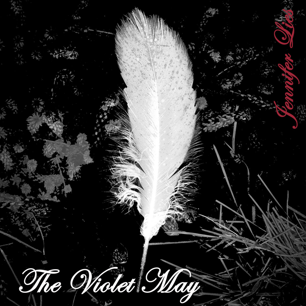 Jennifer Lies | The Violet May